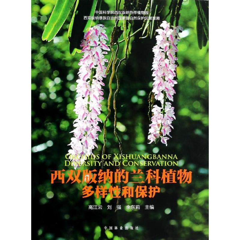 西双版纳的兰科植物多样性和保护