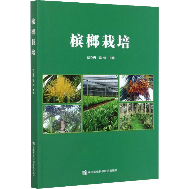 槟榔栽培
