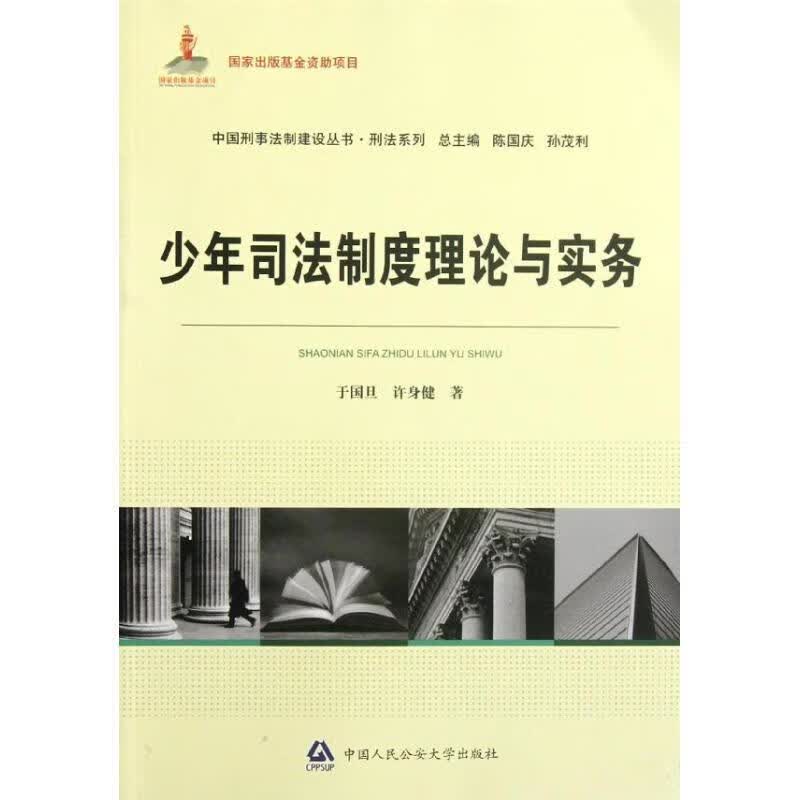 少年司法制度理论与实务