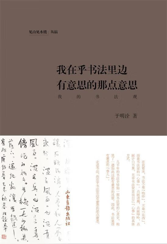 我在乎书法里边有意思的那点意思 于明诠 著【书】