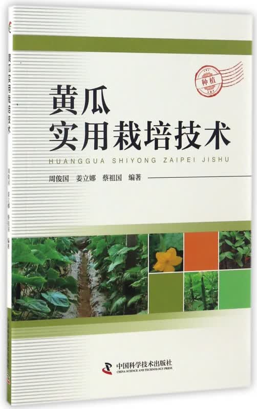 黄瓜实用栽培技术