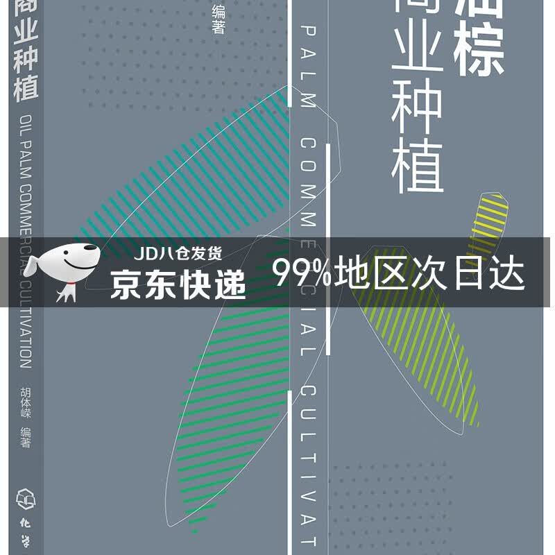 油棕商业种植