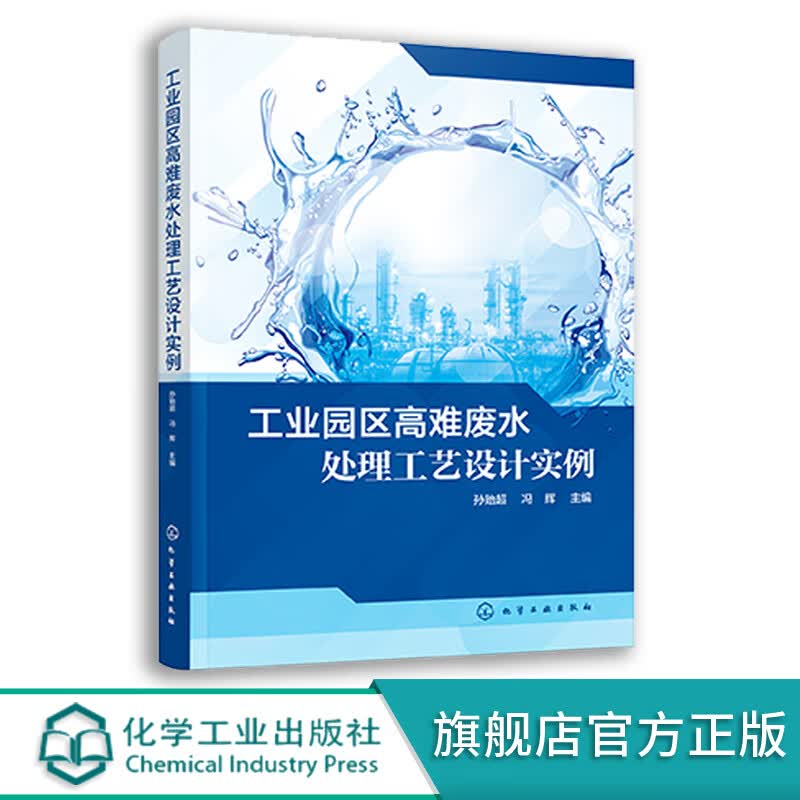 工业园区高难废水处理工艺设计实例 孙贻 冯辉污水治理理论与实践工业废水处理工艺开发水污染治理工程技术参考书籍 化学工业出版社