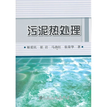 污泥热处理