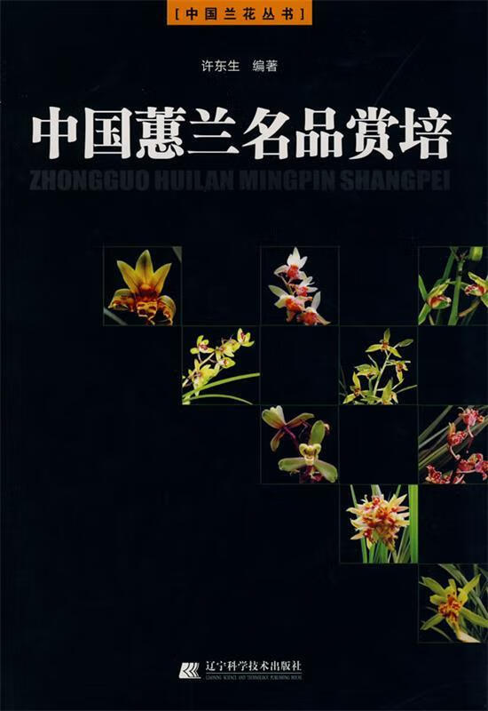 中国蕙兰名品赏培