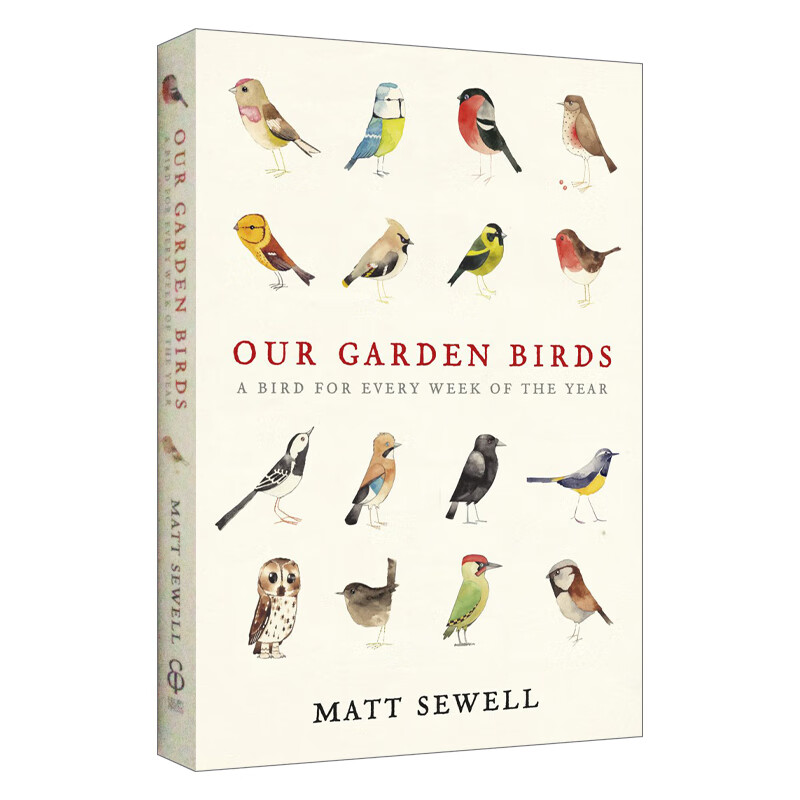 Our Garden Birds 我们花园里的鸟 鸟类科普绘本 马特·休厄尔 精装 英文版 进口英语原版书籍 英文原版