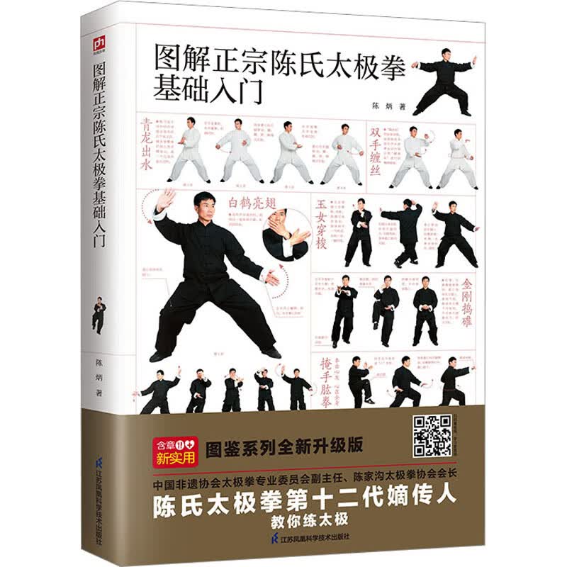 图解正宗陈氏太极拳基础入门 图书