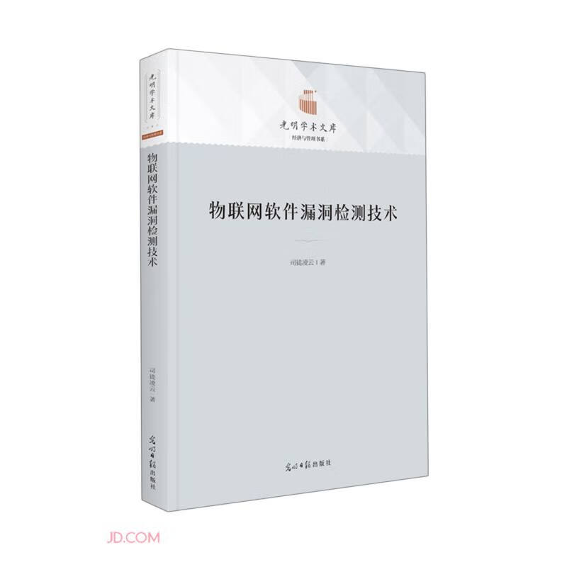 物联网软件漏洞检测技术