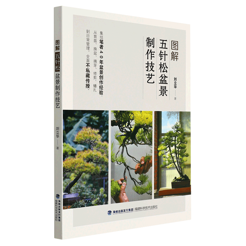 图解五针松盆景制作技艺