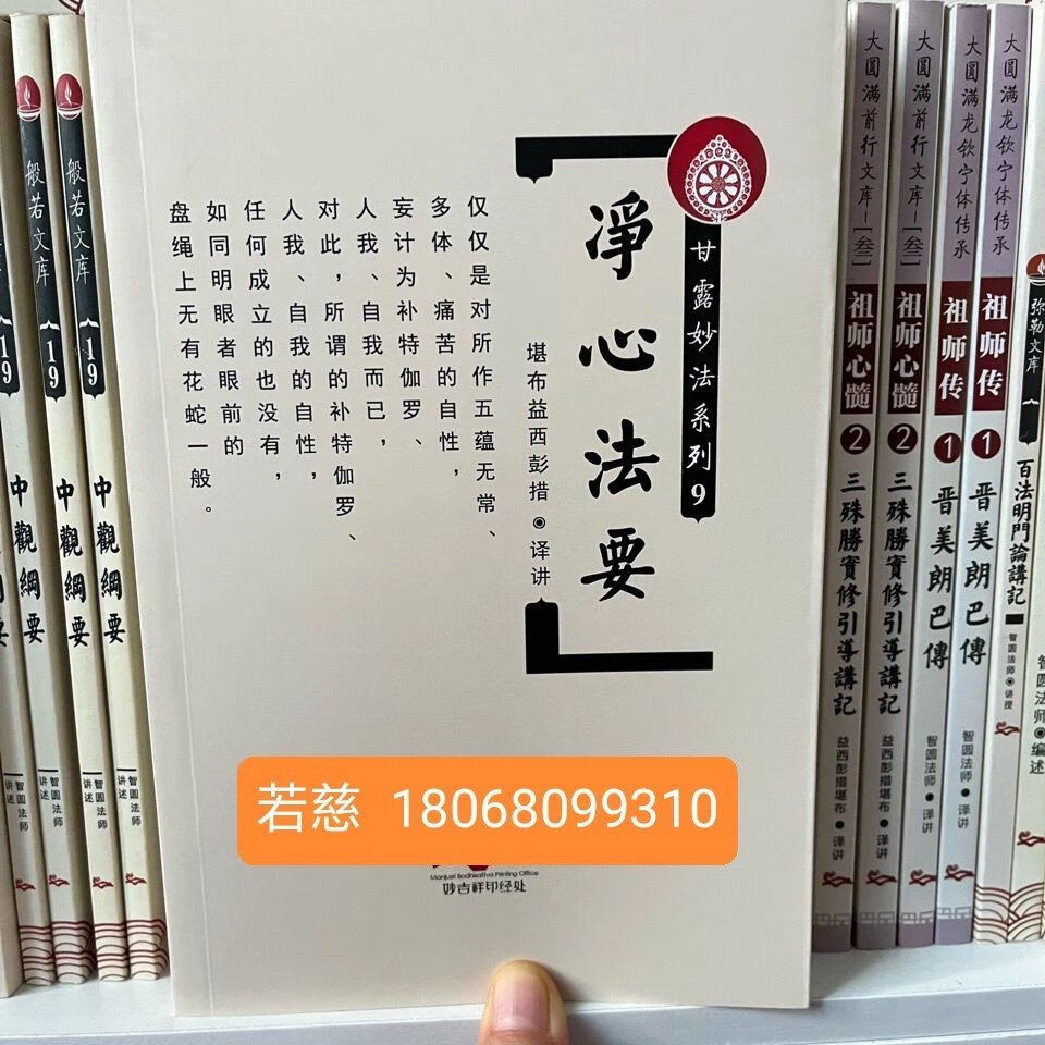 净心法要 净心引导  (智      fa师  益西彭措)