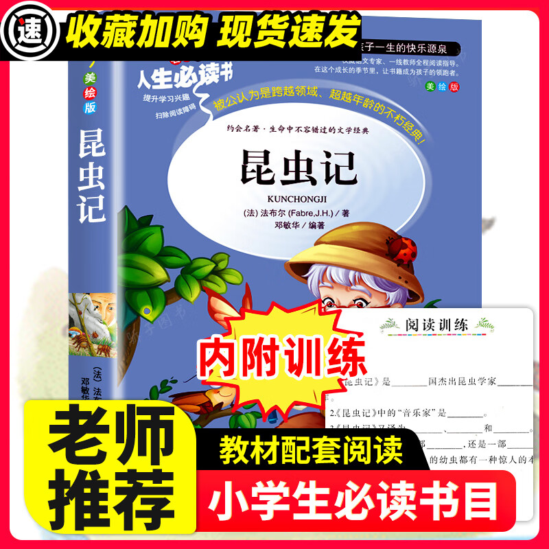小王子书圣埃克苏佩里/著小学生必课外书籍三四五六年级必老师推荐经典书目青少年读物儿童文学名著 【29元3件】昆虫记