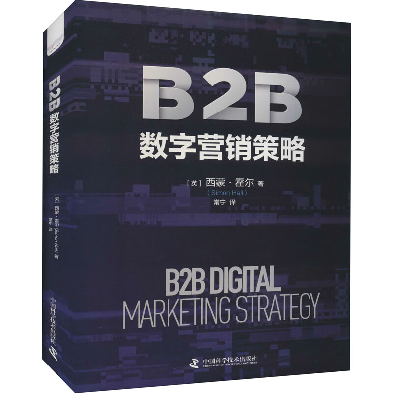 B2B数字营销策略 图书