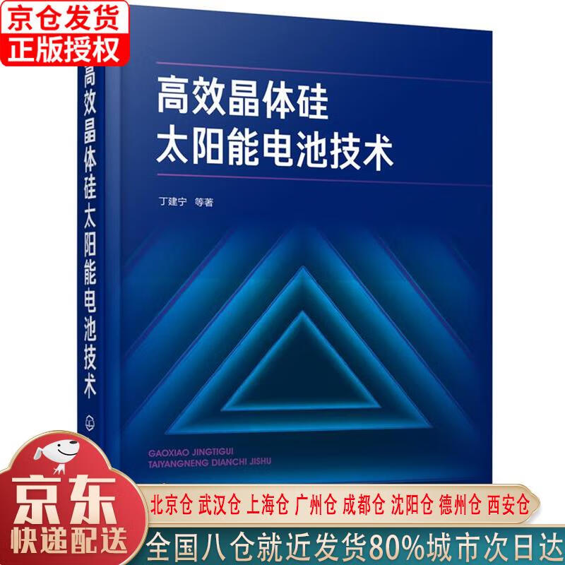 【新华全新书籍】高效晶体硅太阳能电池技术 丁建宁 化学工业出版社