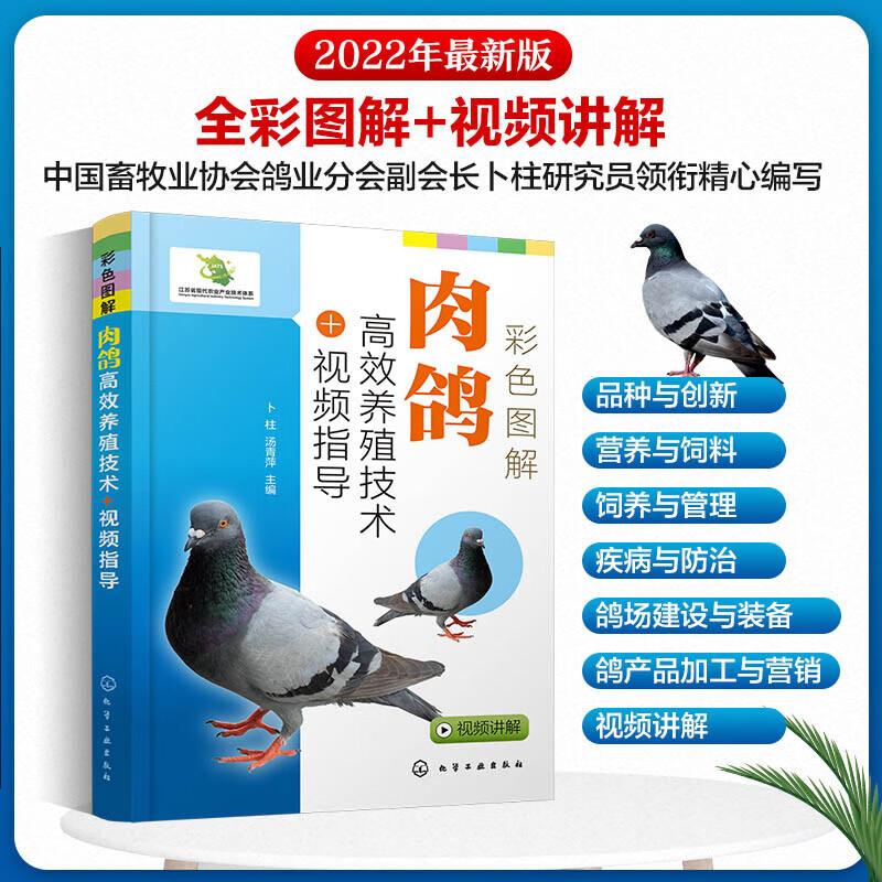 彩色图解肉鸽高效养殖技术+视频指导 肉鸽养殖书籍 养鸽子的书养鸽技术大全选种饲料配制饲养管理疾病防治