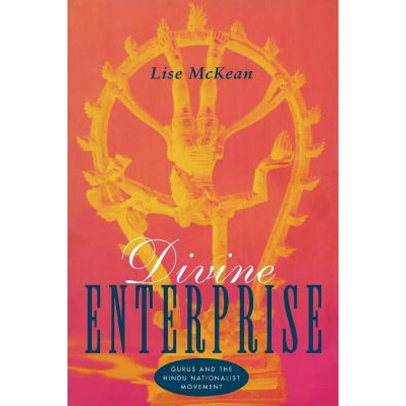 Divine Enterprise: Gurus and the Hindu Natio...