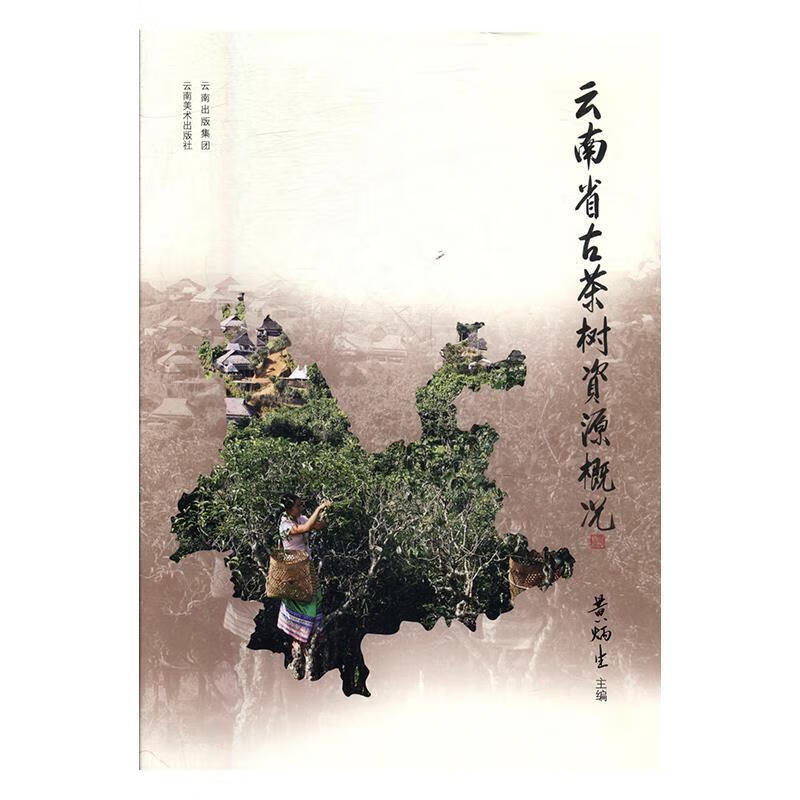 云南省古茶树资源概况 黄炳生