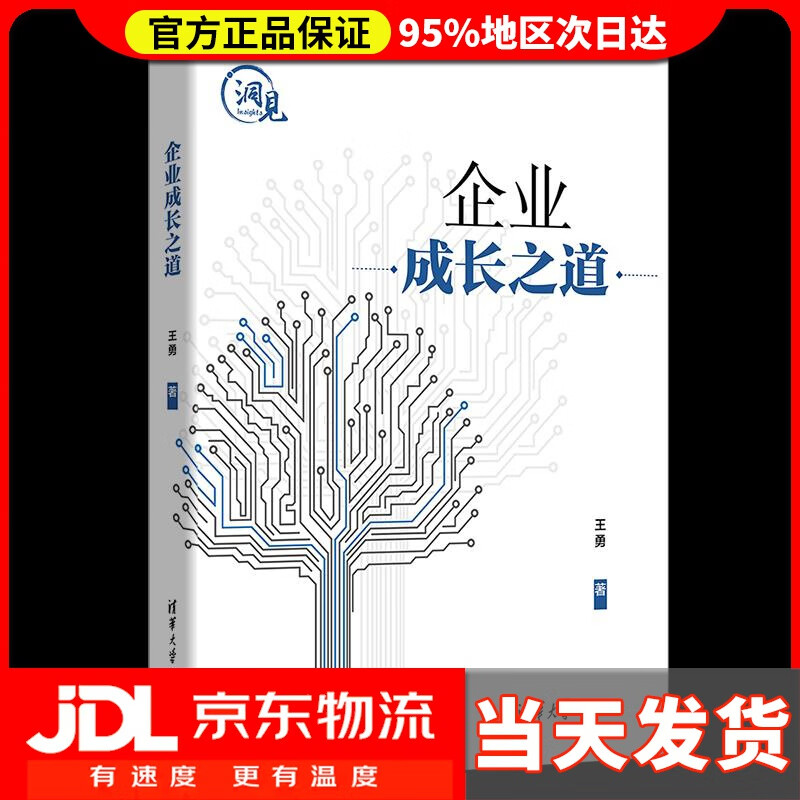 企业成长之道 王勇
