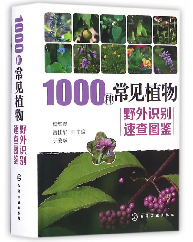 1000种常见植物野外识别速查图鉴(精)