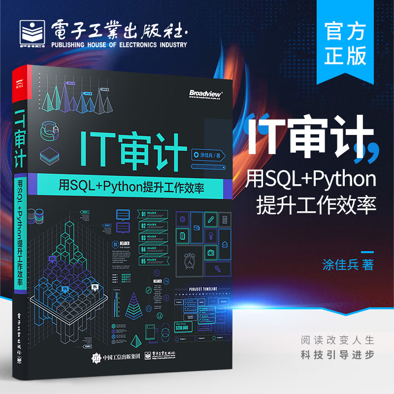 官方 IT审计：用SQL+Python提升工作效率 数据可视化技巧图书籍 Python基础与Python实战技巧 IT审计学习SQL基础与实战 涂佳兵