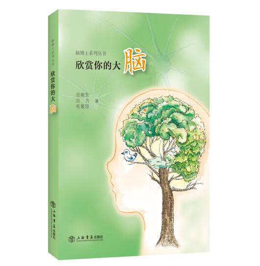 欣赏你的大脑