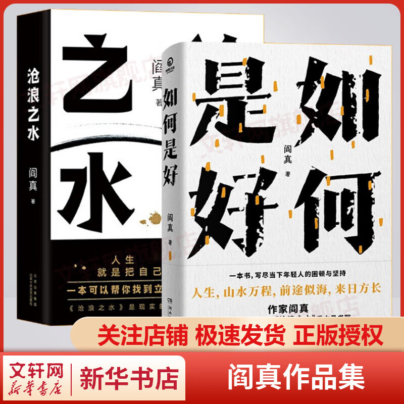 沧浪之水+如何是好 阎真作品集 原著未删减 胡军、于和伟主演高分电视剧岁月原著小说 当代年轻人的人生之书 图书