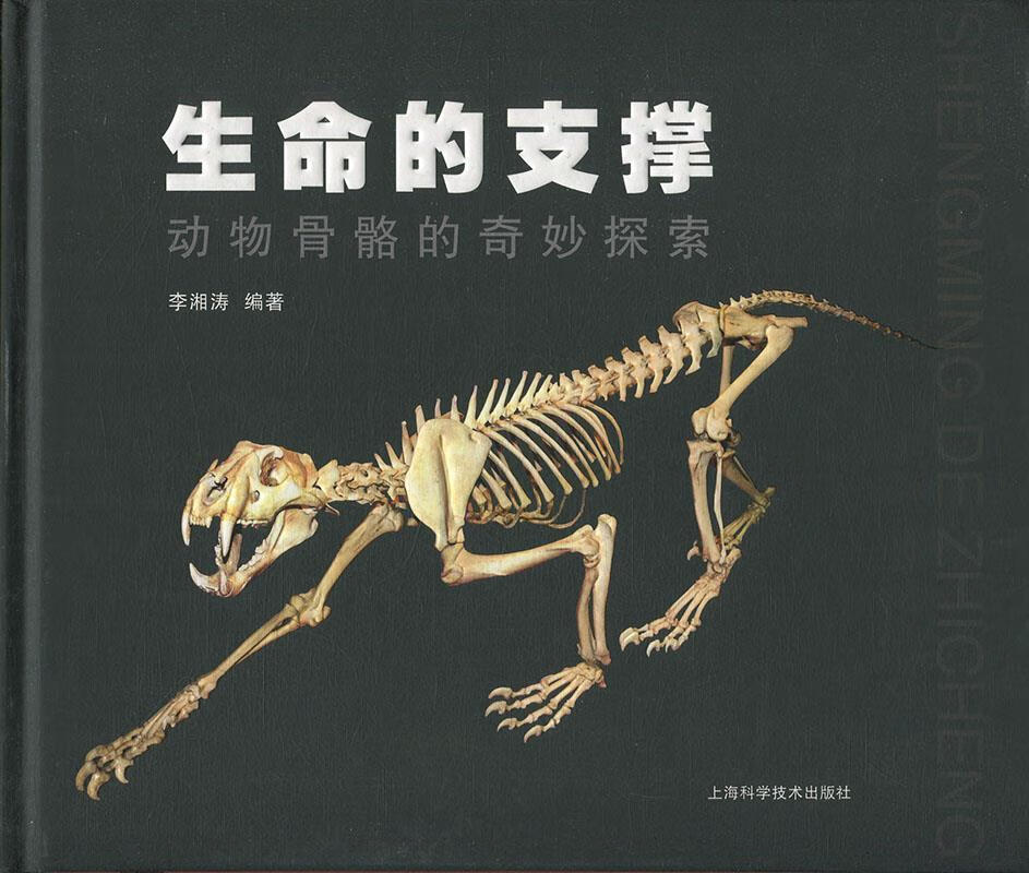 【全新送货上门】生命的支撑：动物骨骼的奇妙探索 李湘涛 著 上海科学技术出版社 9787547843086