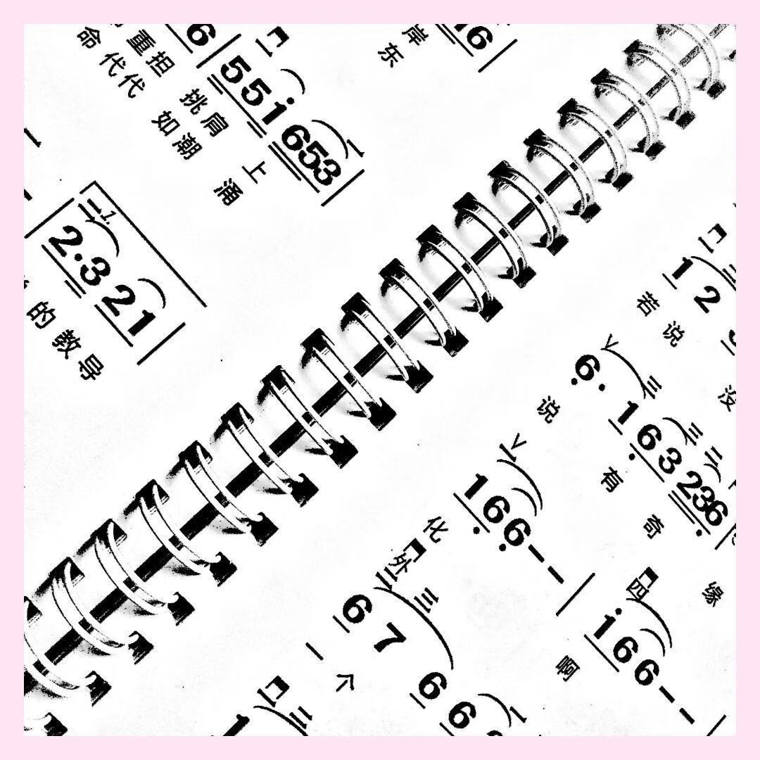 二胡简谱155首 二胡 简谱大字版中老年 圈装