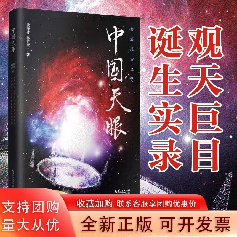 中国天眼 作者：蒙泽敏，杨正勇 长篇报告文学