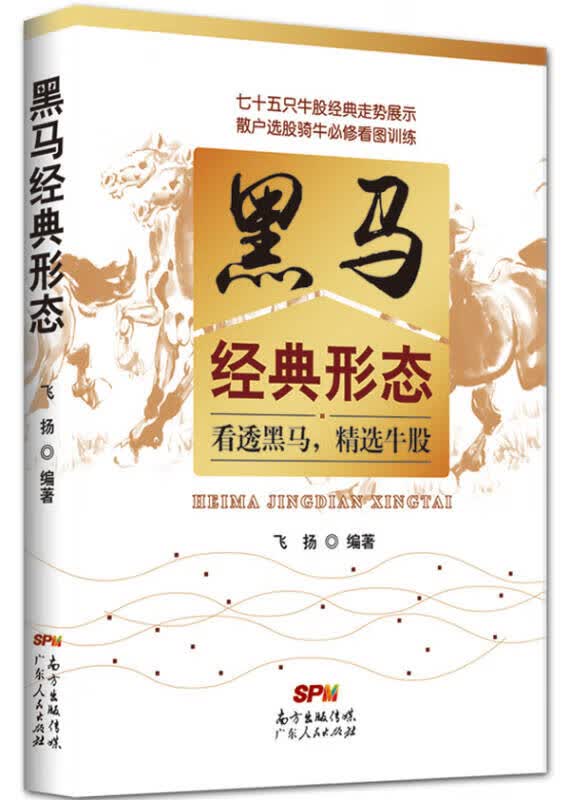 黑马经典形态【好书】