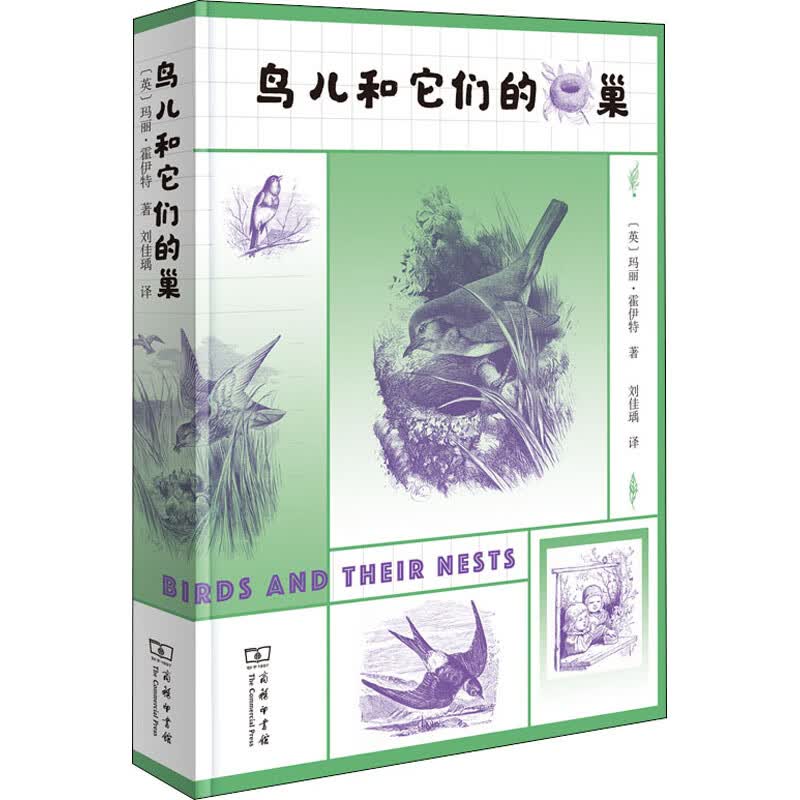 鸟儿和它们的巢 图书