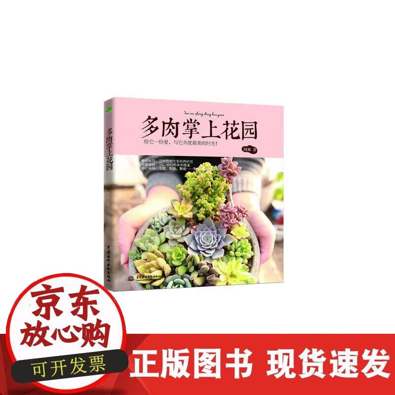 【现货】多肉掌上花园