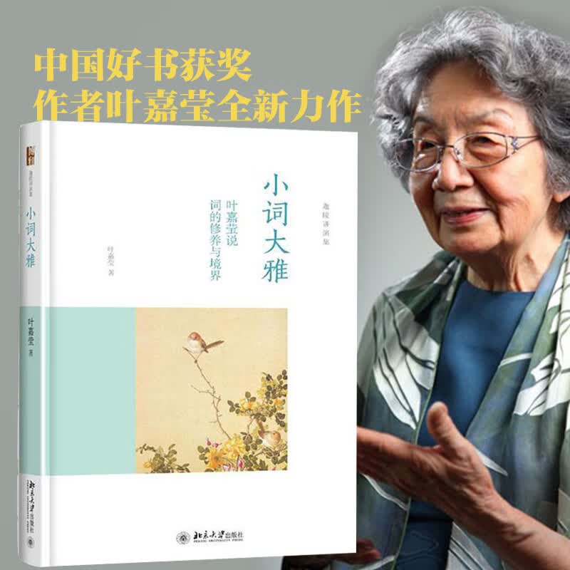 小词大雅 叶嘉莹 词的修养与境界唐宋词十七讲 迦陵讲演集中国好书人间词话七讲获奖力作 文