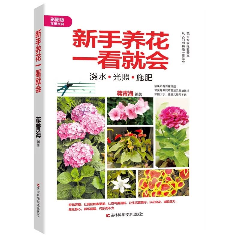 新手养花一看就会