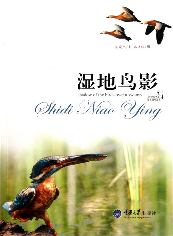 湿地鸟影/自然随笔丛书/好奇心书系