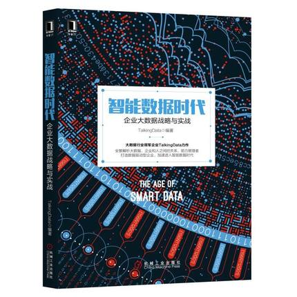 智能数据时代：企业大数据战略与实战