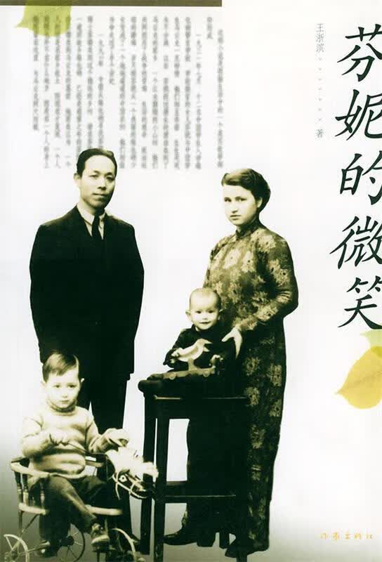 芬妮的微笑 王折滨 著