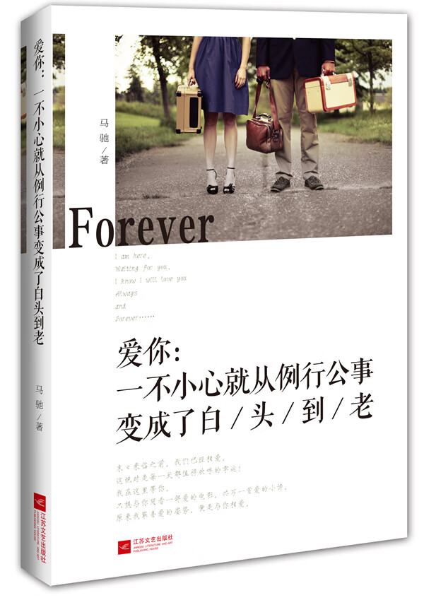 爱你 马驰著【书】