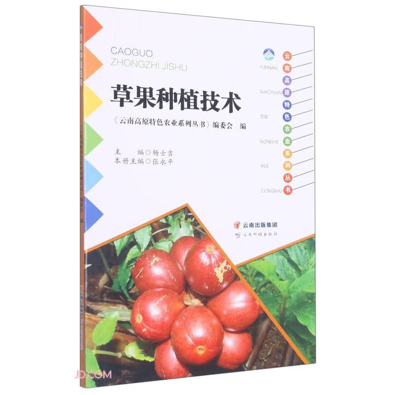 草果种植技术 云南科技 9787558737664