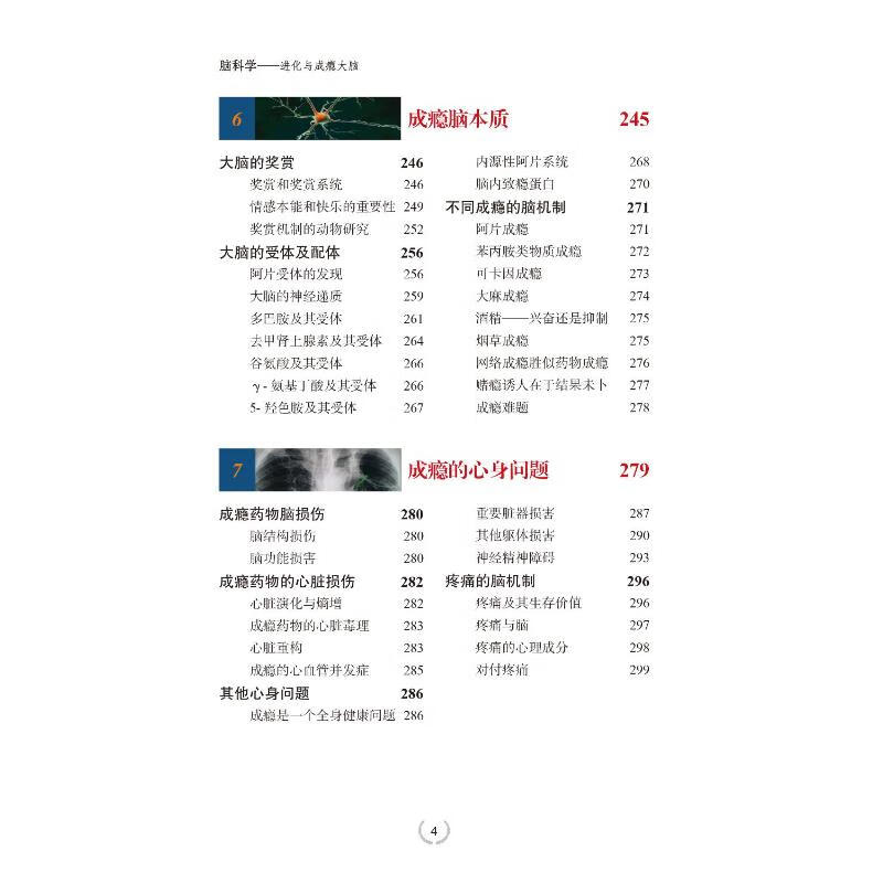 脑科学 进化与成瘾大脑 图书