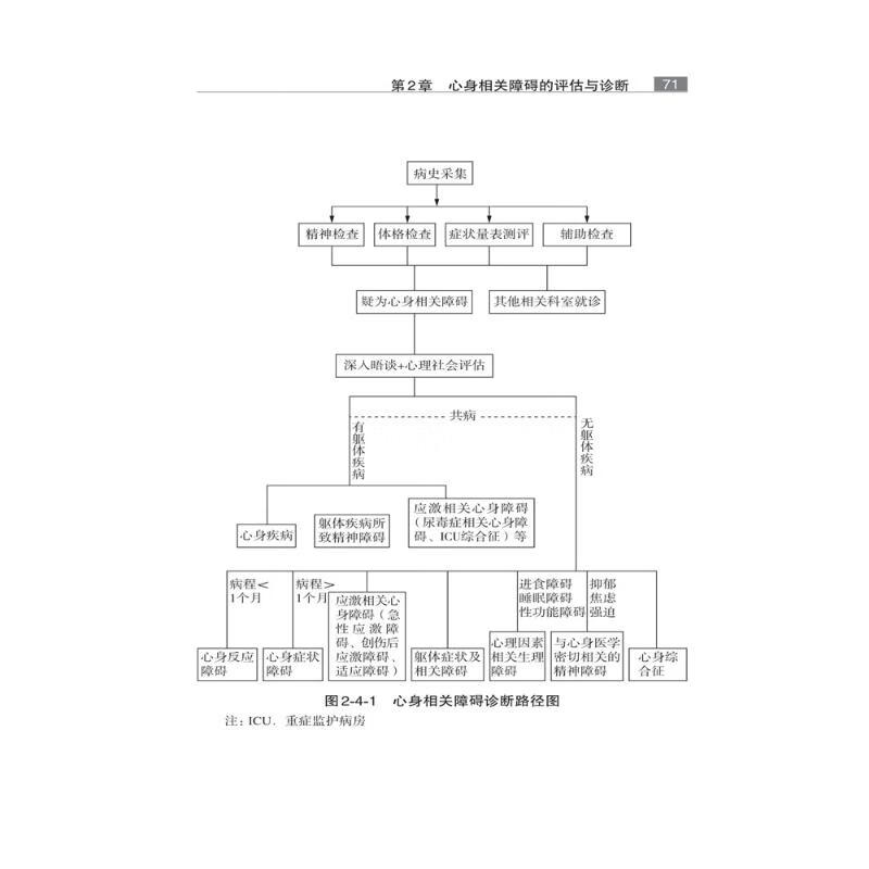 中国心身相关障碍规范化诊疗指南 图书