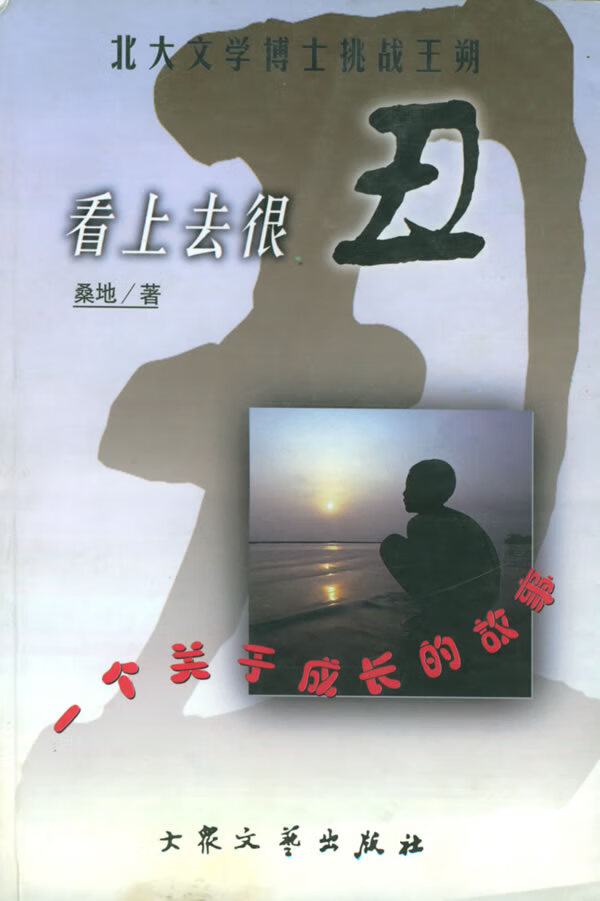 看上去很丑 桑地 著