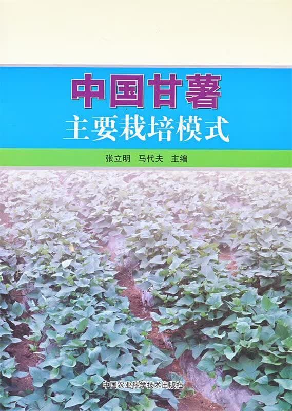 中国甘薯主要栽培模式