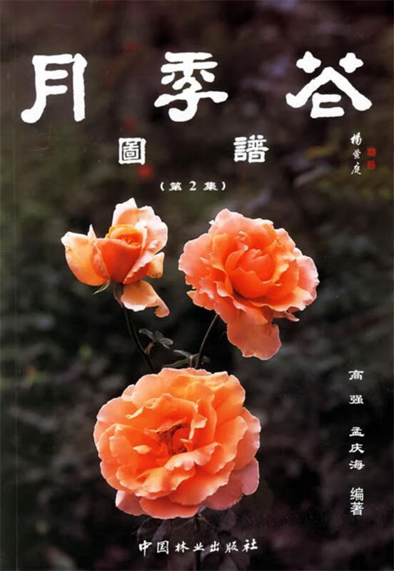 月季花图谱