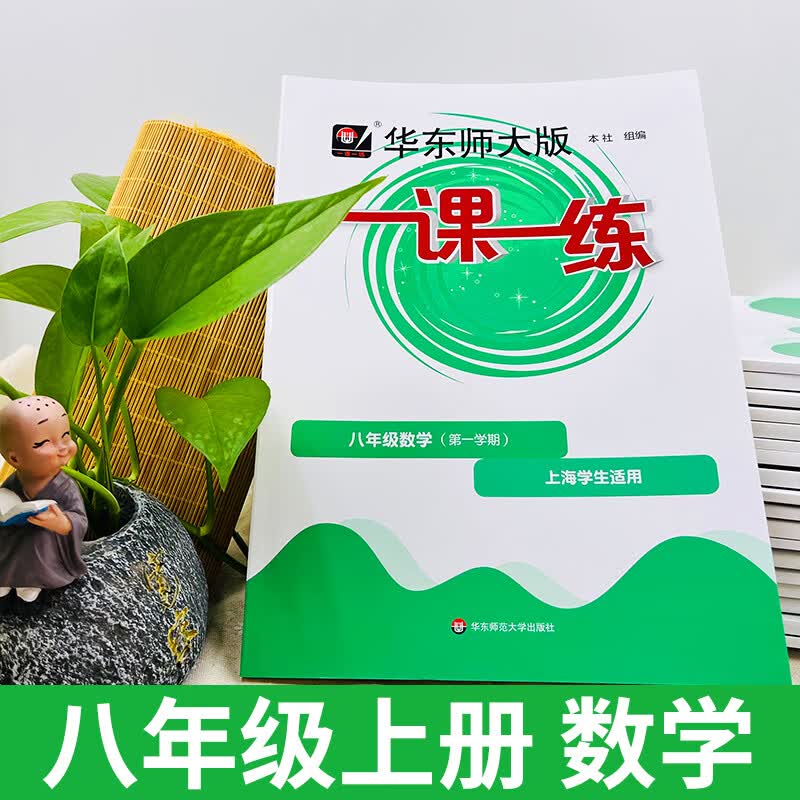 2023新版华东师大版一课一练数学八年级学期8年级上上海初中新教材课后同步配套练习含答案单元练习华东师范 数学 普通版（共1本） 八年级下