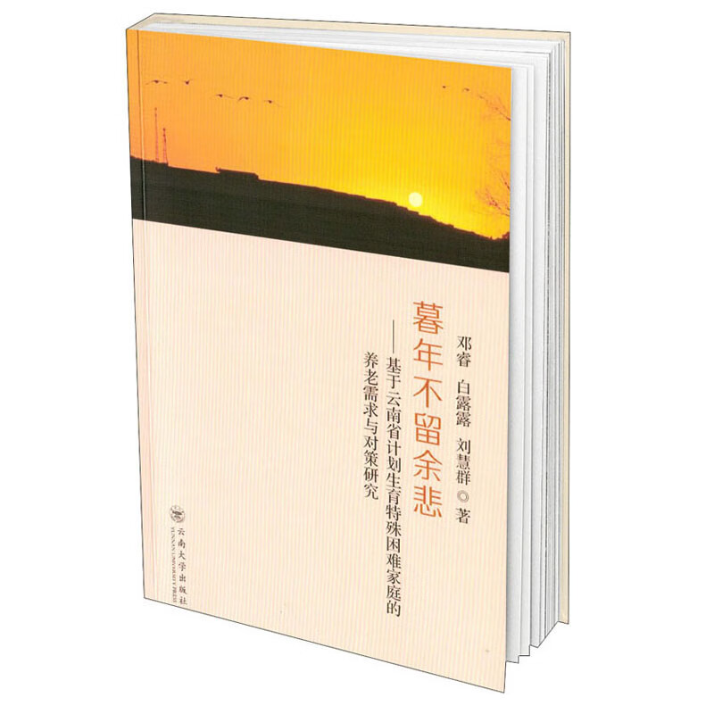暮年不留余悲:基于云南省计划生育特殊困难家庭的养老需求与对策研究
