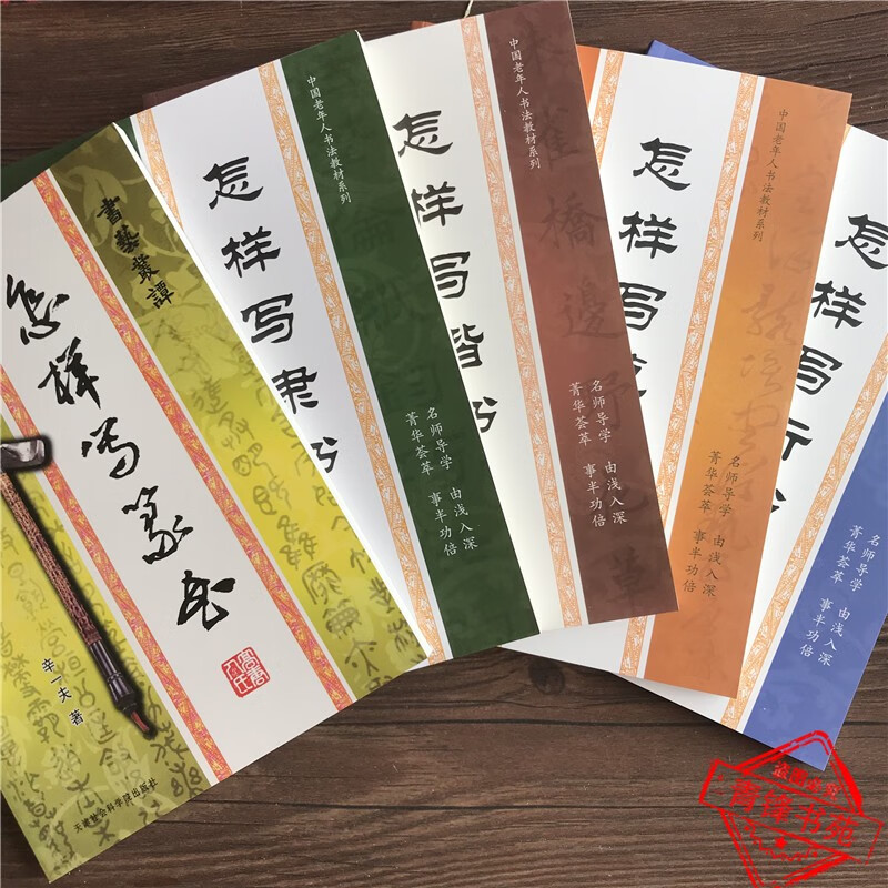 怎样写楷书怎样写行书怎样写隶书怎样写草书篆书5本1套何大齐