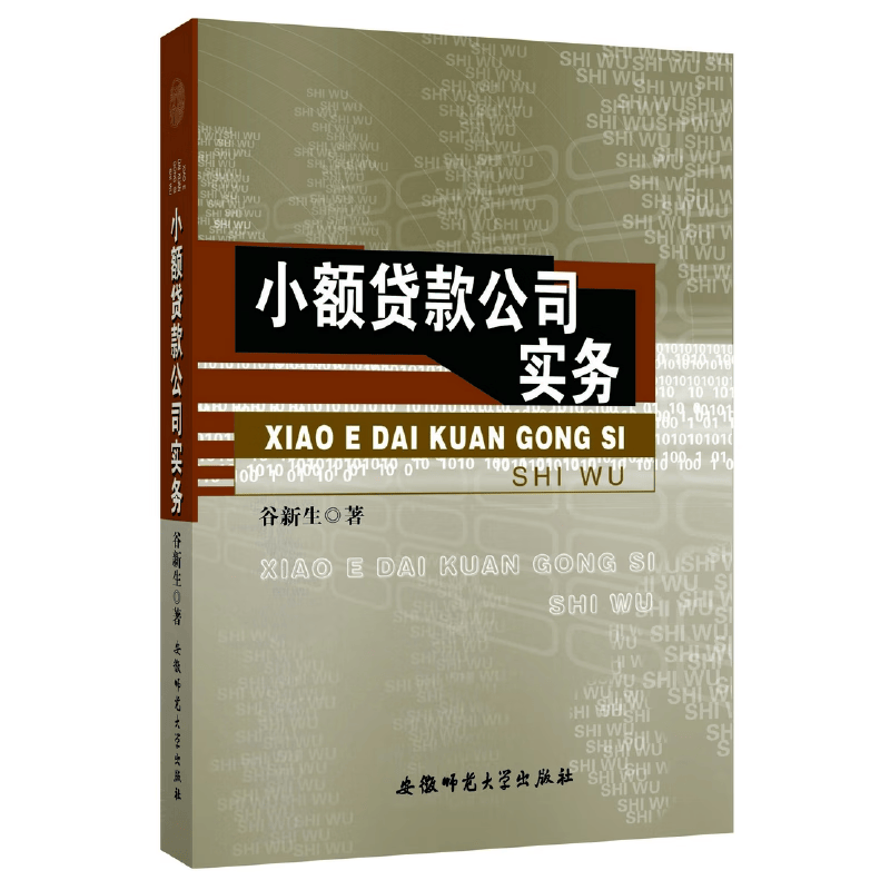 小额贷款公司实务