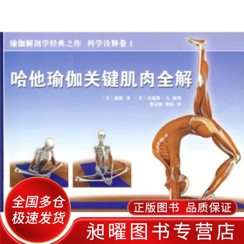 哈他瑜伽关键肌肉全解【精选】