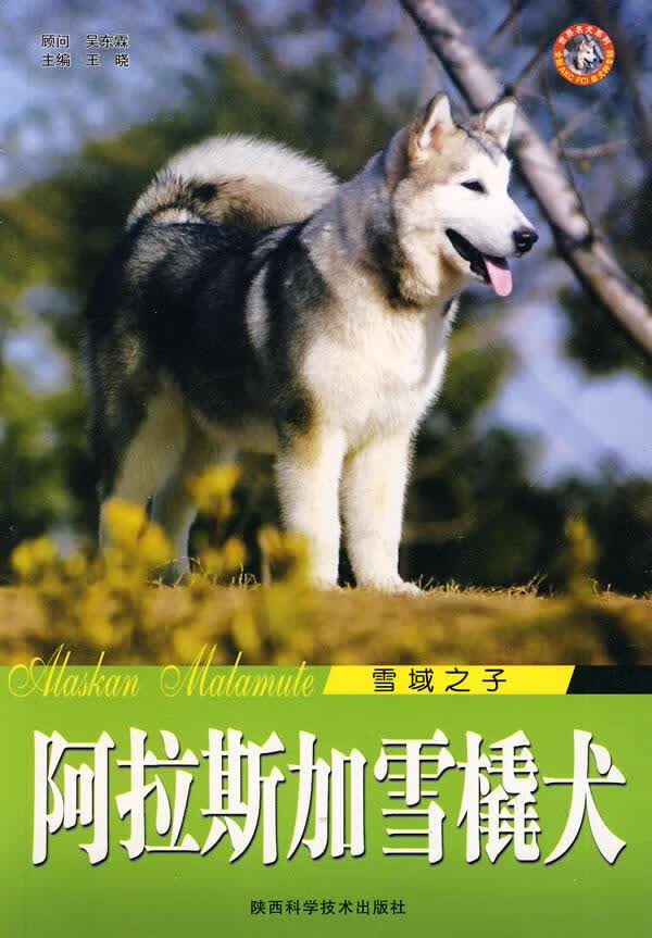 阿拉斯加雪橇犬:雪域之子 家居 吴东霖 陕西科学技术出版社 9787536943490