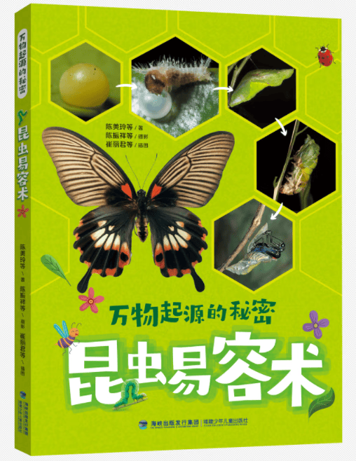 万物起源的秘密——昆虫易容术 2023暑假读一本好书低年级